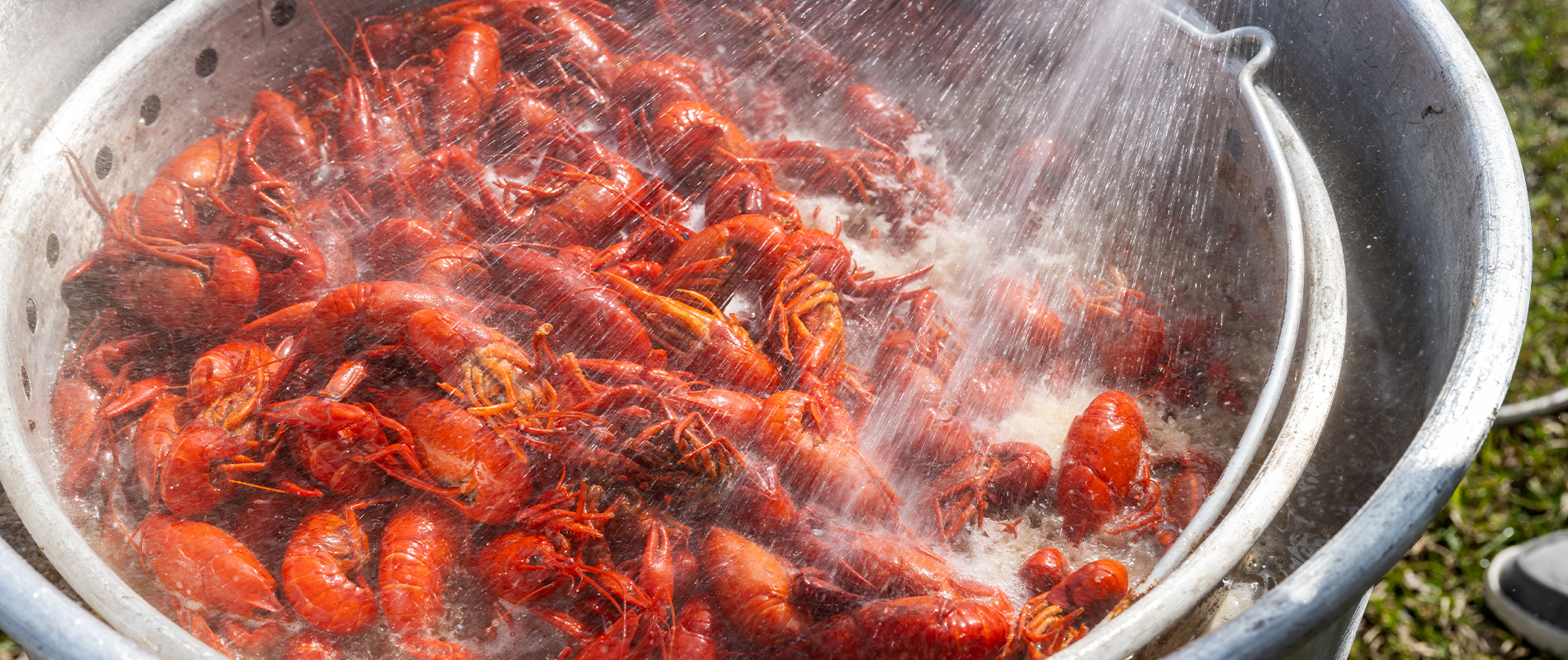 Crawfish Boil Turnovers Recipe • Rouses Supermarkets